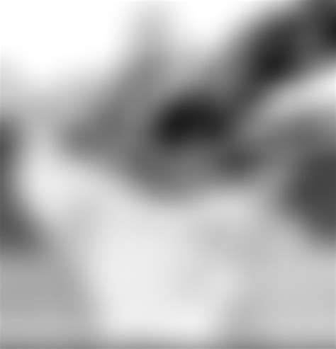 These Are Probably Blaschkos Lines Rchoujinx