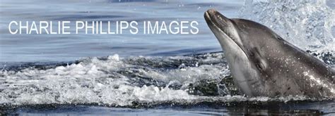 Pictures Of Charlie Phillips