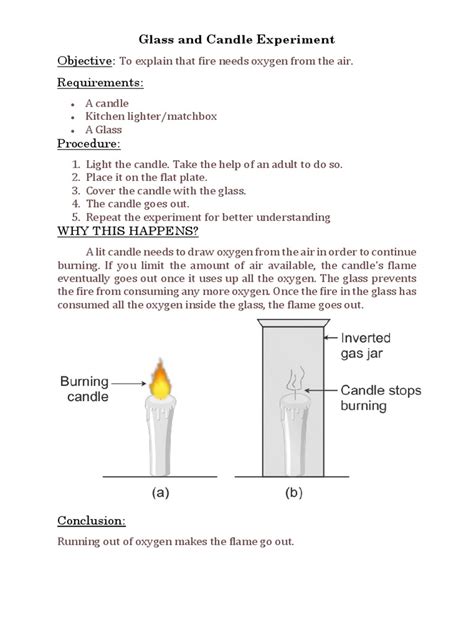 Oxygen Experiment Pdf