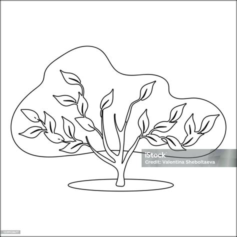 벡터 윤곽 은 나뭇잎 나무 왕관을 그리기 아이들의 색칠 스크랩북 장식 책 카드 원예의 주제에 대한 스케치 흰색 배경에 격리 된 양식에 일치시키는 낙엽 트리 0명에 대한 스톡