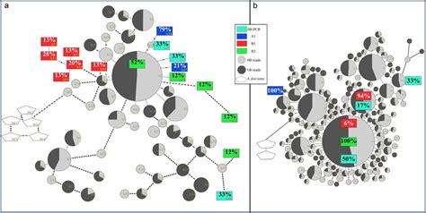 Minimum Spanning Trees MST Showing The Relationships Between The