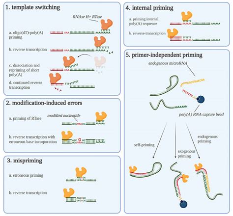Artifacts And Biases Of The Reverse Transcription Reaction In Rna Sequencing Rna Seq Blog
