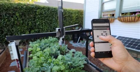 raspberry pi weekly issue 162 bees