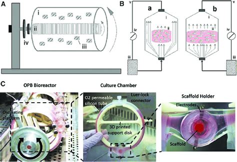 Te Bioreactors For Dynamic Cell Culture Integrating Electroconductive