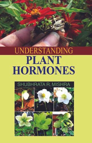 Understanding Plant Hormones Discovery Publishing