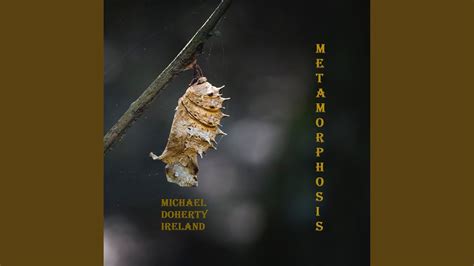 Metamorphosis Youtube