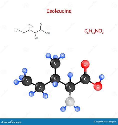 Isoleucine Is An Essential Amino Acid Chemical Structural Formula And