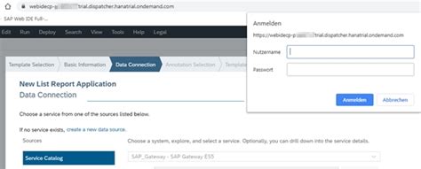 Learn Annotation Basics For Odata And Fiori · Issue 4101 · Sap