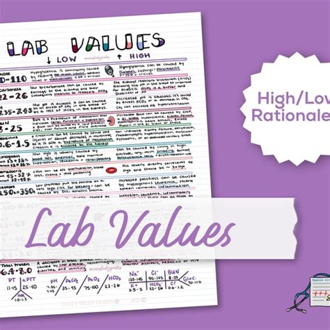 Lab Values Memory Tricks Fundamental Nursing Notes NCLEX Etsy
