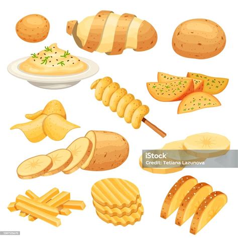감자 요리 식사 장식 길거리 음식 및 간식 감자 튀김 소박한 매시 감자 칩 만화 슬라이스 감자 제품 벡터 세트 생감자에 대한