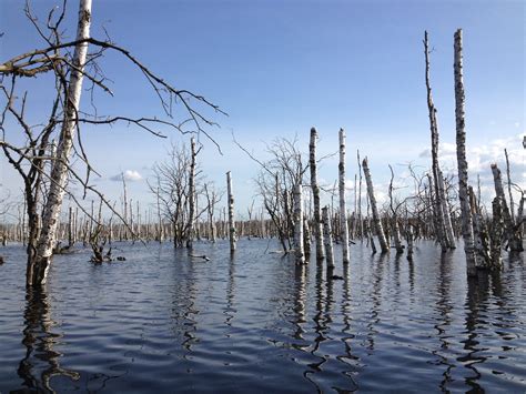 Lake Tree Nature Free Photo On Pixabay Pixabay