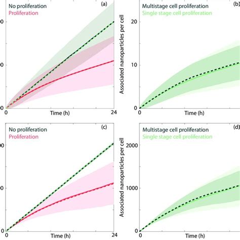 Comparison Of Different Number Of Stages In The Cell Proliferation