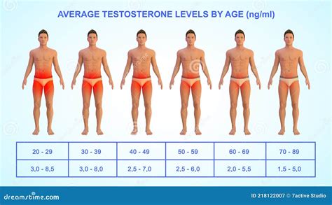 What Is Average Testosterone Level By Age Chart Normal Free