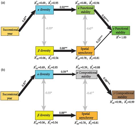 Structural Equation Models Sem Describing The Relative Effects Of Download Scientific Diagram