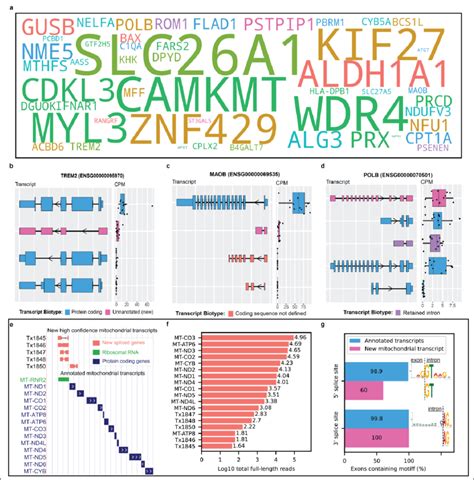 Clinically Relevant Genes With New High Confidence Rna Isoforms