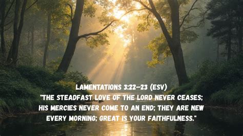 7 Life Lessons We Can Learn From Timothy Biblical Life Lessons