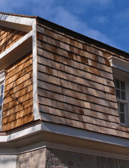 Woodpecker Cedar Siding Damage How To Prevent And Fix It 2024