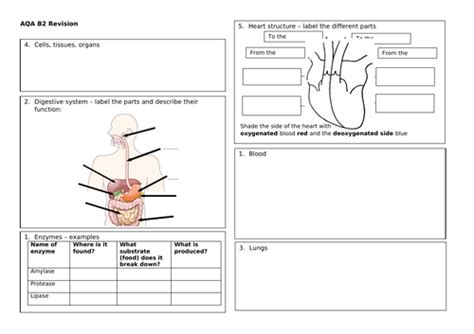 Gcse Aqa Organisation Revision Worksheet Teaching Resources