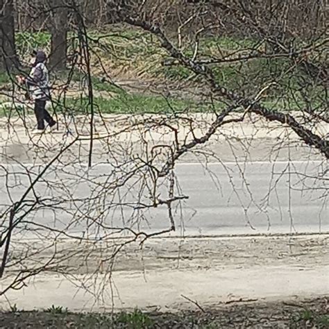 Person Detec Object Detection Dataset And Pre Trained Model By School