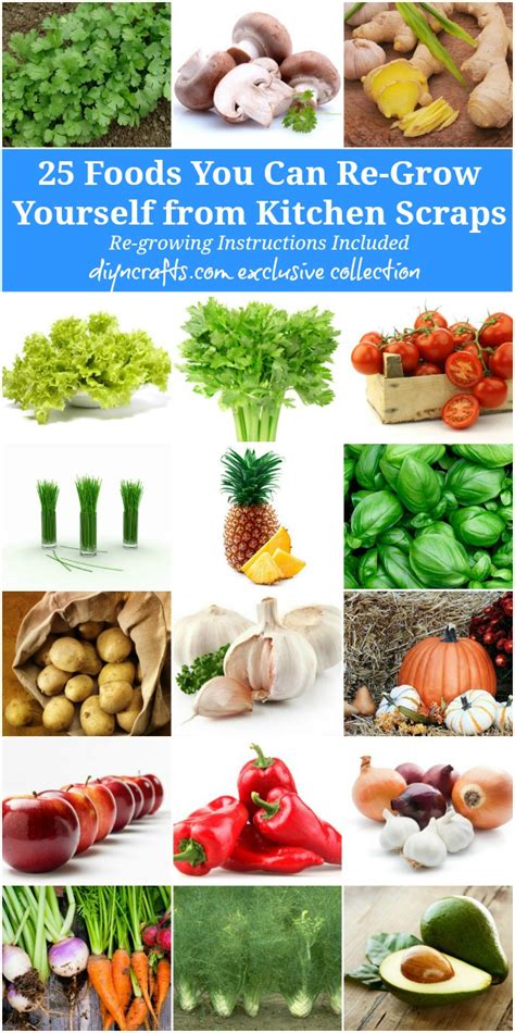 Grow Foods Chart
