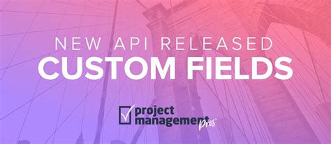 New Api Available For Custom Fields Project Management Pros™