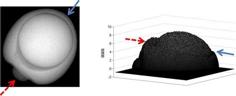 Superposition Effect Of Rotation Symmetric Nucleus Profile And Download Scientific Diagram