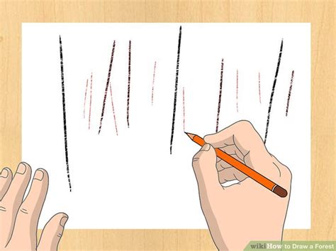 3 Ways To Draw A Forest WikiHow