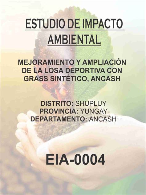 Estudio De Impacto Ambiental Mejoramiento Y Ampliacion De La Losa