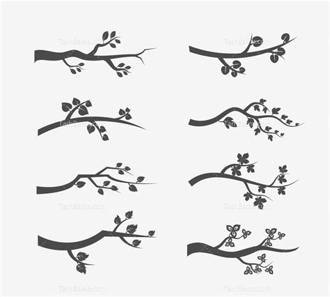وکتور با کیفیت از شاخه های درختان