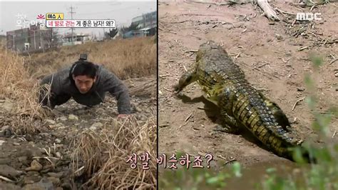네 발로 걷는 게 좋은 남자 MBC 방송 ZUM TV