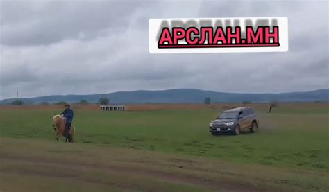 ВИДЕО “Гачууртын Л Чинбат машинтайгаа морьтой хүн элдэж мотоцикльтой хүнийг дайрч унагажээ“
