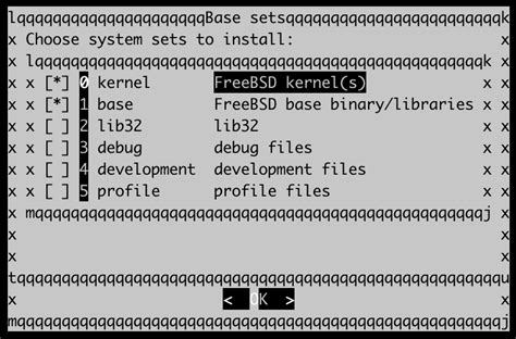 Les étapes De Linstallation De Dynfi Firewall — Documentation Dynfi Firewall 300 Documentation