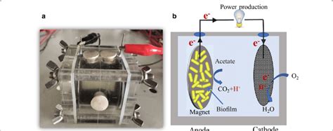 Mfc Reactor Prototype A And Schematic Diagram B Download Scientific Diagram