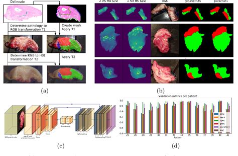 tumor semantic segmentation in hyperspectral images using deep learning semantic scholar