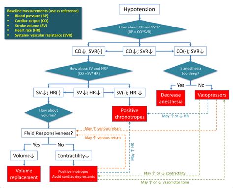 Differential Diagnosis And Treatment Of Hypotension In Perioperative Download Scientific