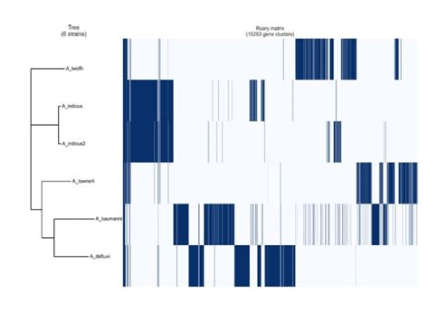 Do The Bioinformatics Related Work By Saifulislam Fiverr