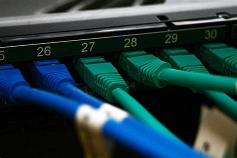 Ethernet Cables Connected To A Switch Switch Data Center Cat6 Photo Background And Picture For