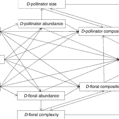 Path Diagram Describing The Hypothesized Causal Relationship Between