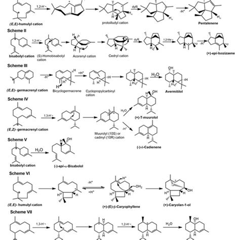 Cyclisation Of Geranyl Diphosphates Gpp By Monoterpene Synthases Download Scientific Diagram