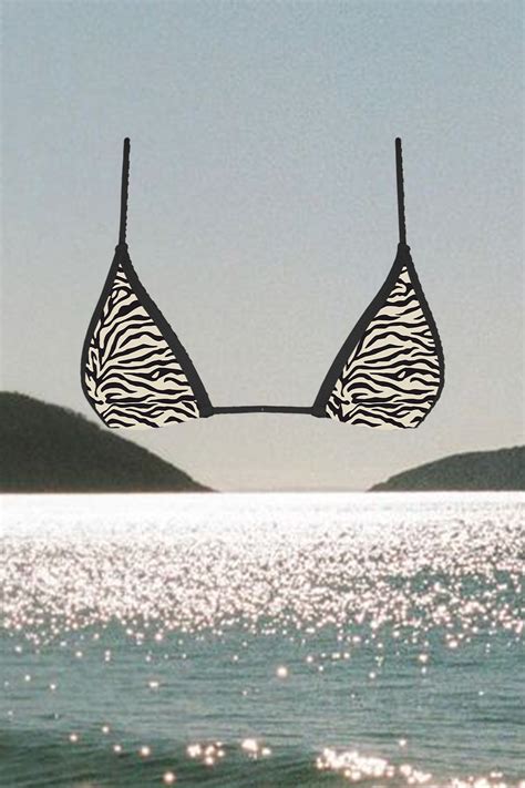 No 11 Zebra Palmeira Swim