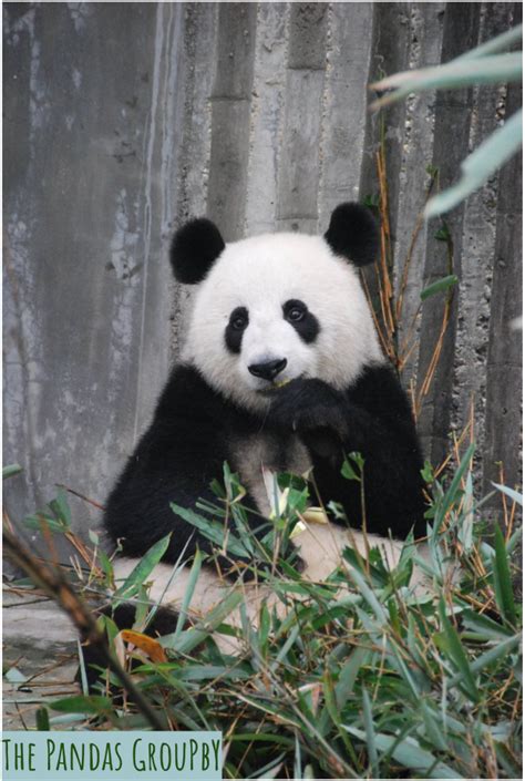 mastering pandas indexing loc and iloc by skyler dale analytics