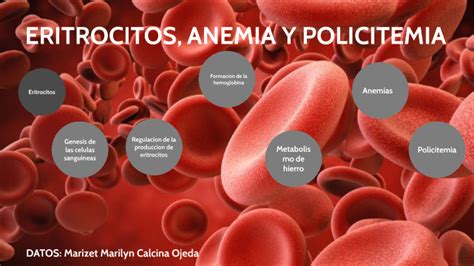 Eritrocitos Anemia Y Policitemia By Marilyn Calcina On Prezi