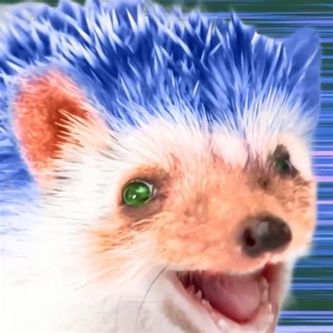 Patx Super Patx On Threads