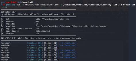 Write Up Tryhackme Upload Vulnerabilities