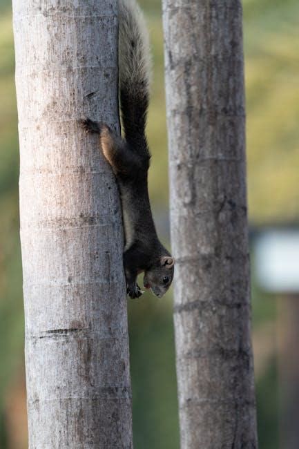 7 Essential Steps To Successfully Implement Agile Project Management Infosphere