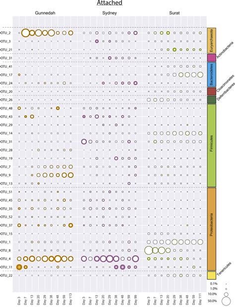 Succession Patterns And Physical Niche Partitioning In Microbial