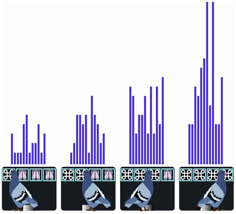 Reward Proximity Neuron Response Profile Of A Reward Proximity Neuron Download Scientific