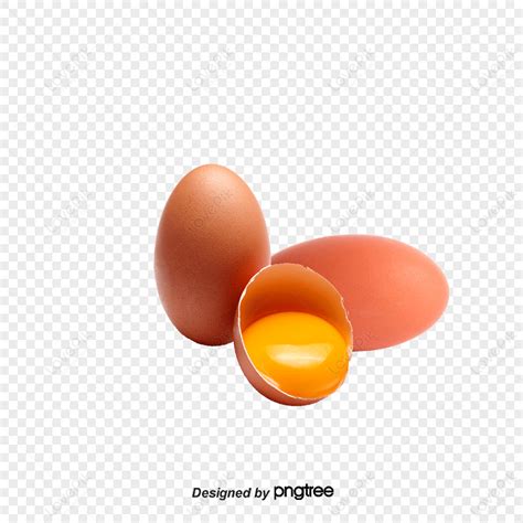 신선한 계란을 재료 Png 일러스트 및 벡터 이미지 무료 다운로드 Lovepik
