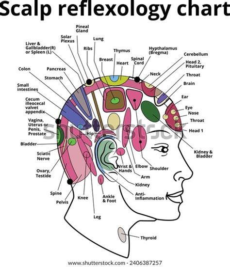 Scalp Reflexology Top Rated 3 Foreigner Friendly Reflexology Massage