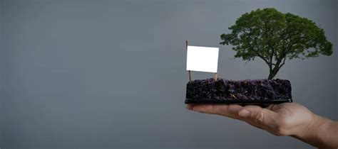 Как изменить границы земельного участка после межевания